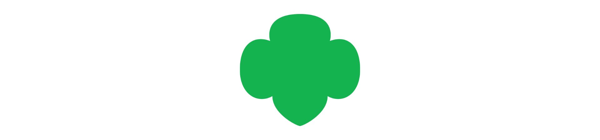 Troop 498 | Girl Scouts of Maine
