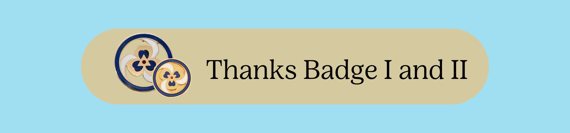 Thanks Badge | Girl Scouts of Maine