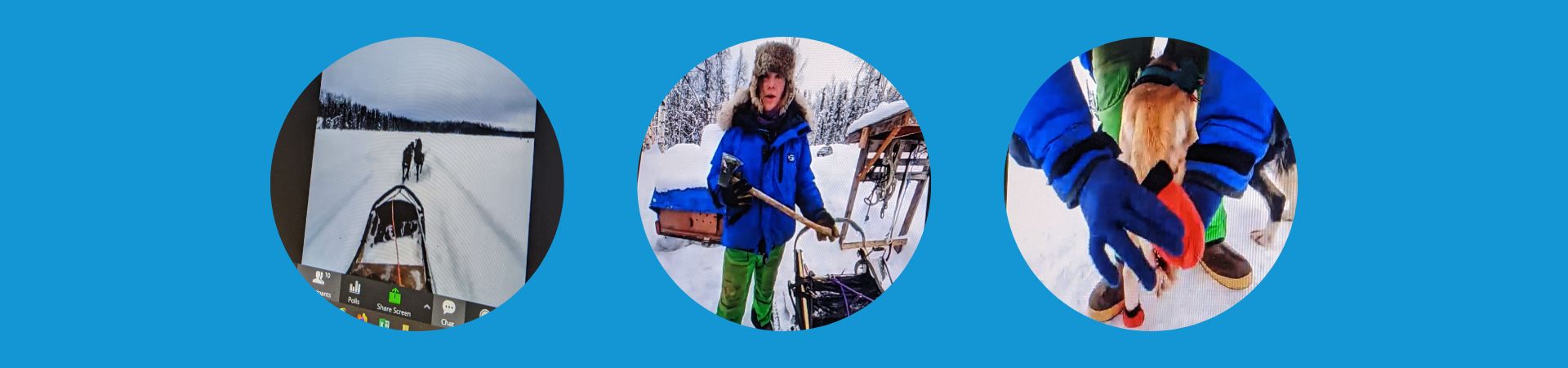 Virtual Alaska Dog Sled Adventure | Girl Scouts of Maine